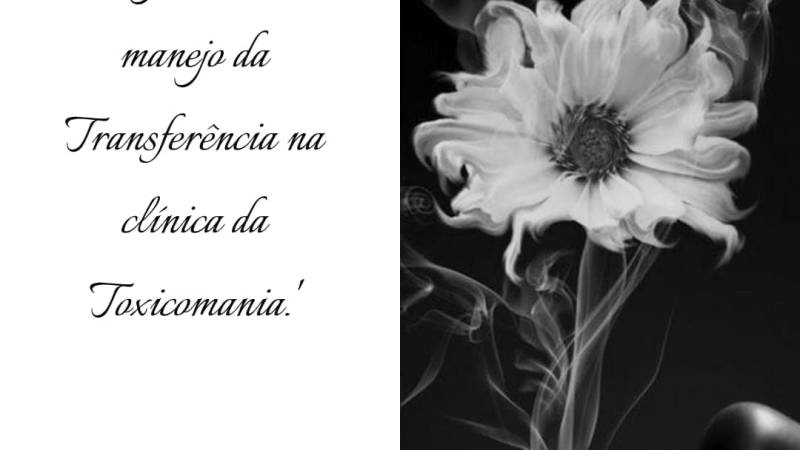 Monografia – Magali Costa